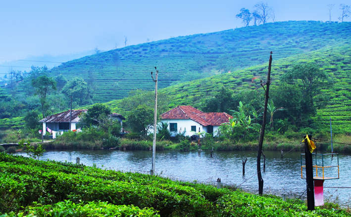 Vagamon Tour Packages From Kottayam – Kottayam to Vagamon Holiday Packages
