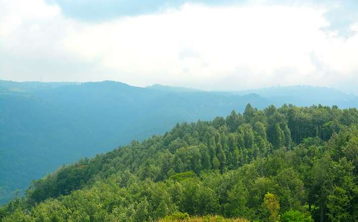Yercaud Tour Packages From Chennai - Chennai To Yercaud Holiday Packages