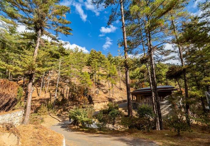 Book 4 Night 5 Days Bhutan Tour Package from Delhi with 3 Star Hotel ...