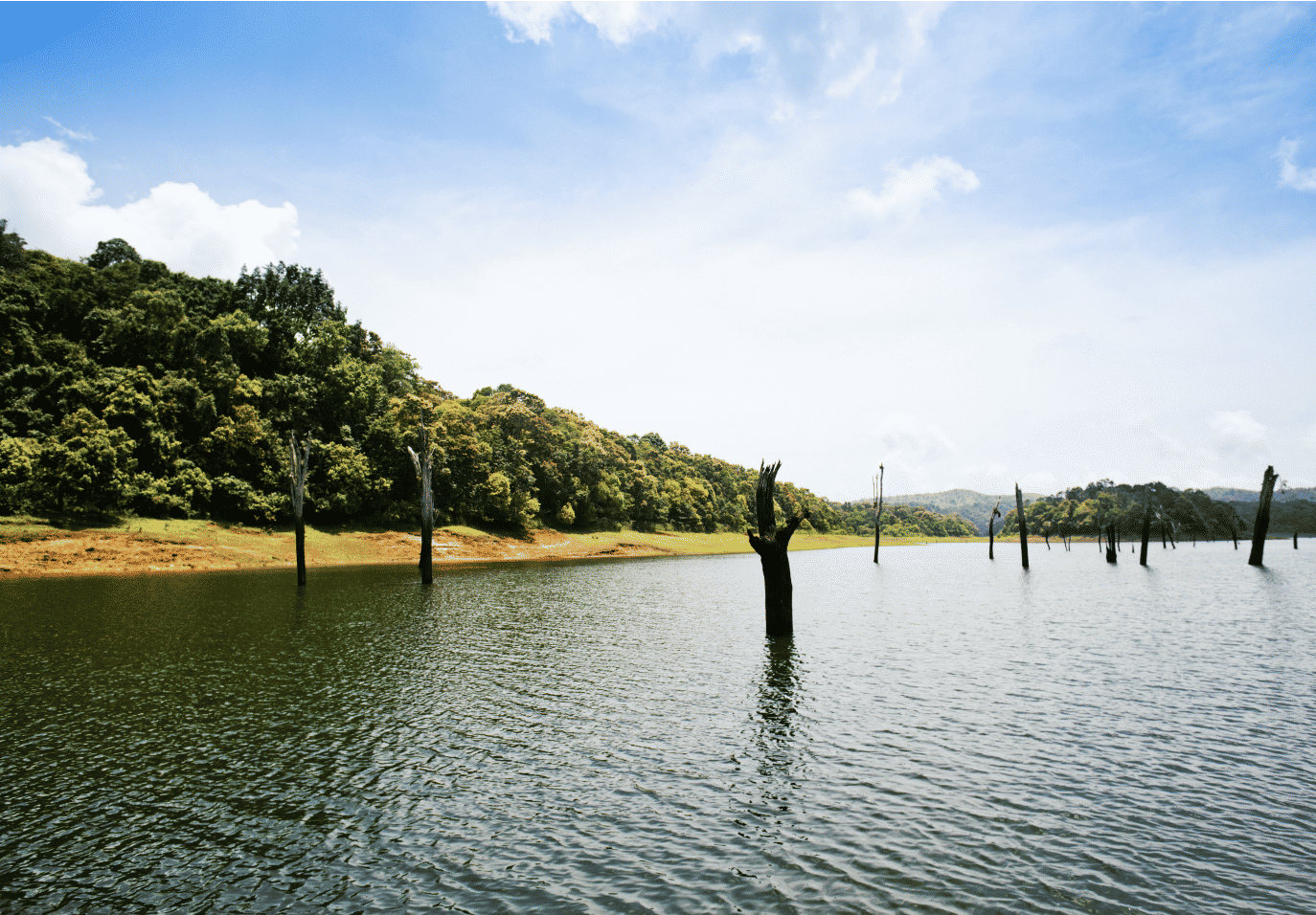 4-Day Kerala Tour: Munnar & Alleppey Getaway | TT