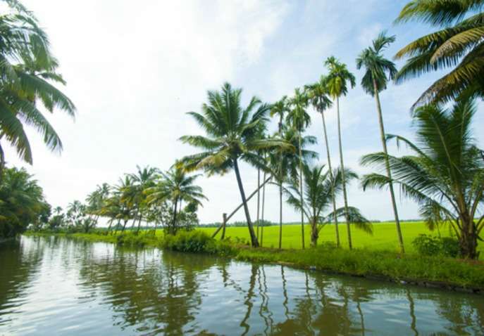 7-Day Kerala Tour Package | Munnar to Trivandrum with Scenic Highlights ...
