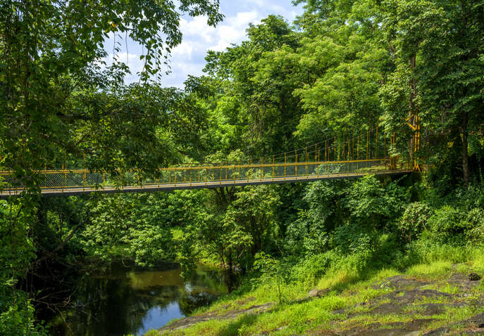 Book 1 Night 2 Days Kerala Honeymoon Tour Package with 3 Star Hotel ...