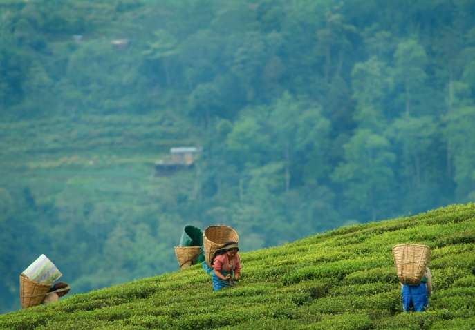 North Sikkim Tour Packages From Gangtok – Gangtok To North Sikkim Packages