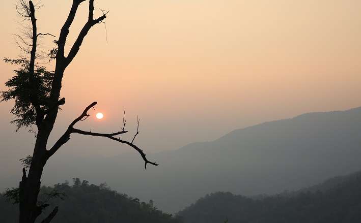 Araku Valley Sightseeing Tour Packages - Araku Valley Trip Plan