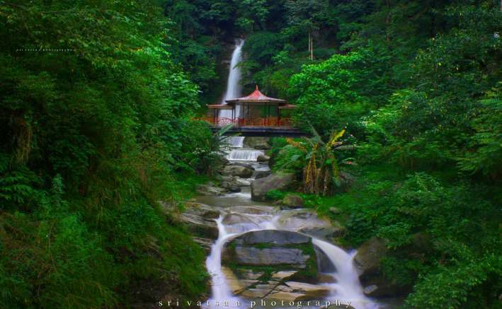 Darjeeling Tour Packages From Jaipur - Jaipur To Darjeeling Packages