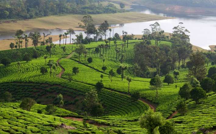 Munnar Honeymoon Itinerary For 4 Nights 5 Days - Munnar Honeymoon Trip ...