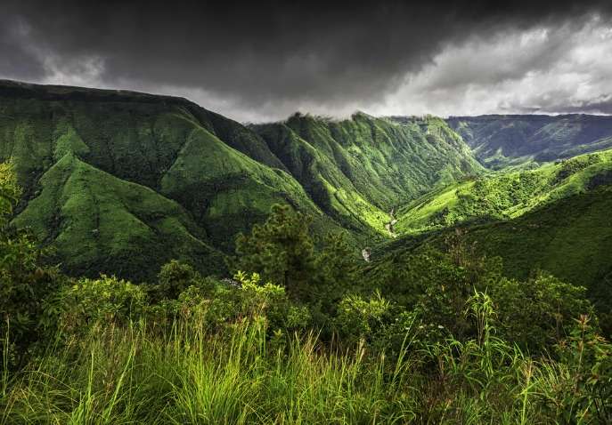 Manas National Park Tour Packages From Guwahati – Guwahati To Manas ...