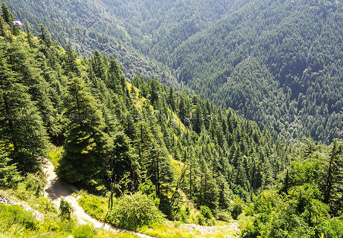 Kasauli Sightseeing Packages - Local Sightseeing Tour Packages in Kasauli