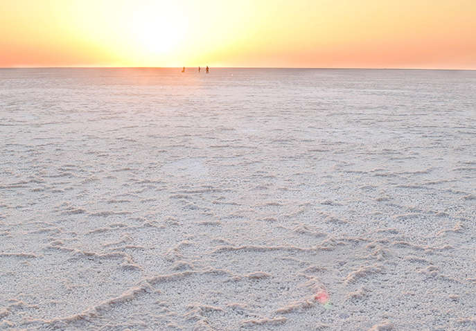 Book Rann Utsav Tour Packages From Ahmedabad in 2022-2023