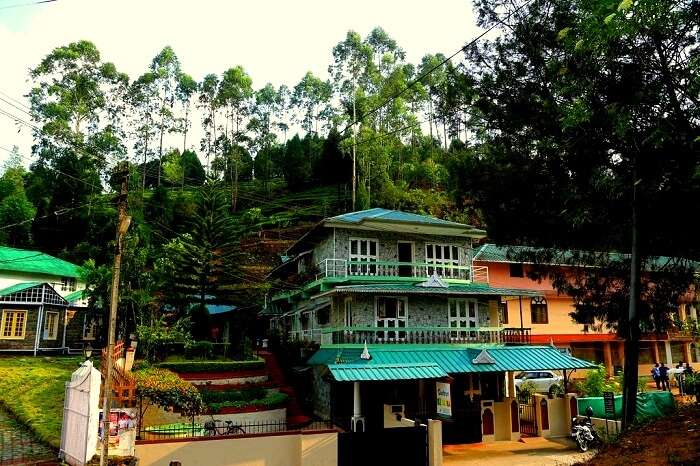15 Best Homestays In Munnar For A Refreshing Holiday In 2020!