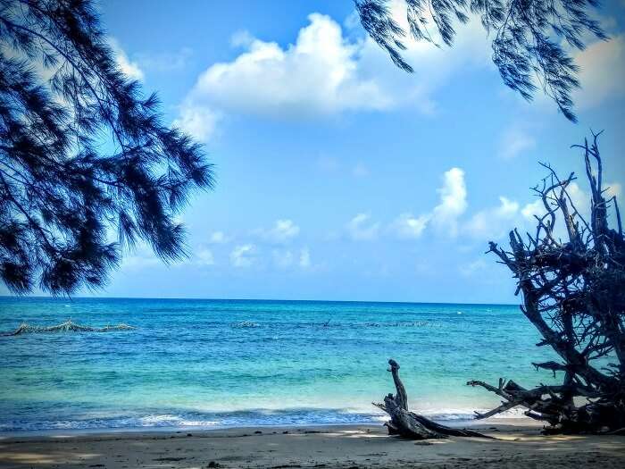 Romantic Holiday In Andaman: Know Through This Couple's Experience