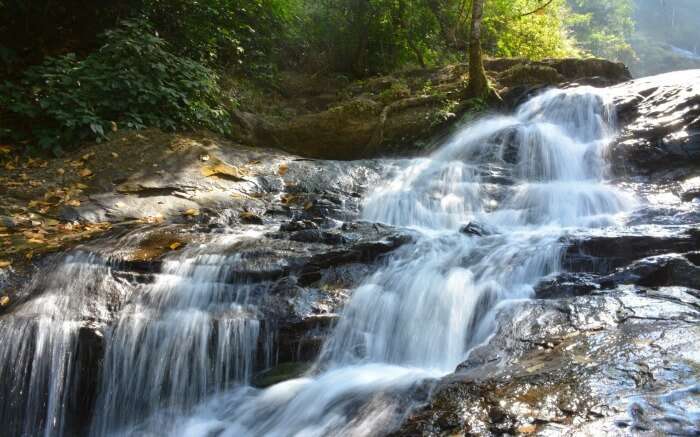 Coorg Vs Munnar: Which One Pleases You More For Your 2022 Vacay!