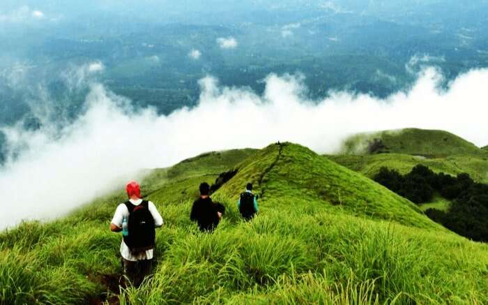 Monsoon In Wayanad 2022: A Guide To Witness Its Charm During Rain