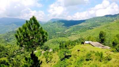 20 Places To Visit In Solan To Immerse In Nature On Your 2022 Vacay!
