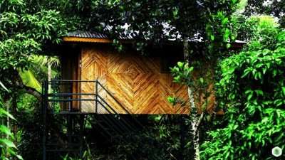 20 Tree Houses In Kerala For A Perfect Date With Nature In 2022