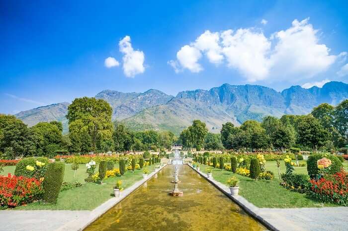 TOP 10 THINGS TO DO IN SRINAGAR