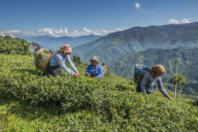 19 Best Places To Visit In Siliguri In 2022 For The Avid Traveler