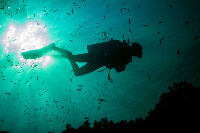Scuba Diving in Bangkok: Dive in Oceanic Paradises to Make Your 2022 ...