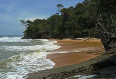 Discover The Beauty Of Malaysia's Similajau National Park