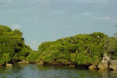 A Guide To The 10 Most Captivating Atolls In The World