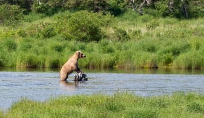 Katmai National Park: Your Guide To This Wildlife Haven