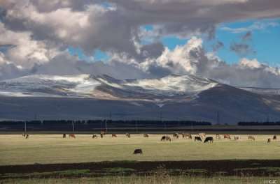 10 National Parks In Georgia That Are Worth A Visit While In The ...