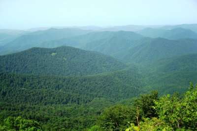 Russian National Parks: 10 Stunning Places To Embrace Wildlife