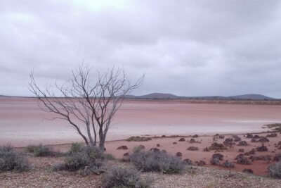 Lake Gairdner: A Guide For Everything You Need To Know About