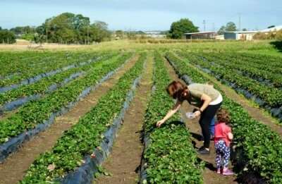 George Museum: A Complete Guide For A Fun-Filled Vacay!