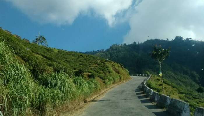 Trekking In Darjeeling 2022: 9 Trails For Thrill And Scenic Views