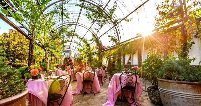 10 Top Alexandria Cafes That You Must Visit On Your Sydney Trip