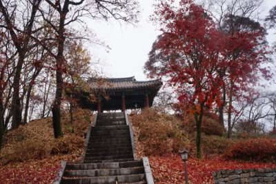 10 Most Popular Korean Castles For A Glance Into The History of Korea ...