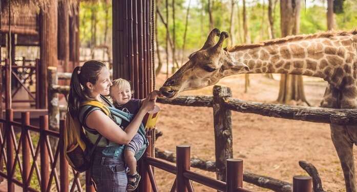 Austin Wildlife: 5 Places Where You Can Spot The Beauties