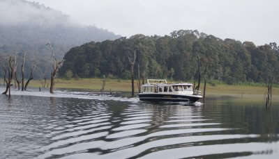 Honeymoon In Thekkady: Plan A Memorable Time With Your Beloved