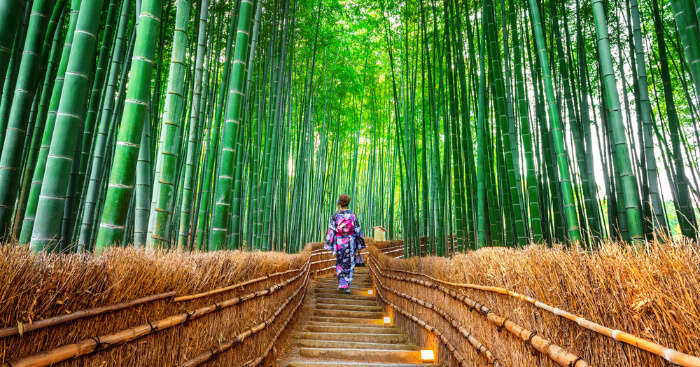Here Is A List Of 10 Absolutely Amazing Things To Do In Kyoto.