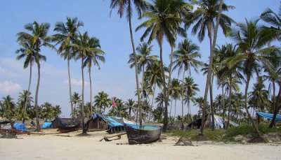 5 Best Spots For Snorkeling In Goa In 2022: Take Your Pick!