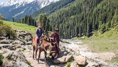 Pahalgam In Winter: A Memorable Vacay In The Valleys Of Kashmir