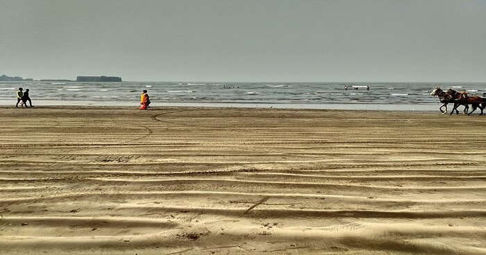 14 Best Things To Do In Alibaug For A Worthy Vacation!