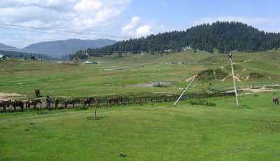 9 Places To Visit In Gulmarg In Summer On Your Trip In 2022