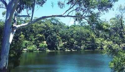 12 Places To Visit In Katra In 2022 That Will Leave You Overwhelmed