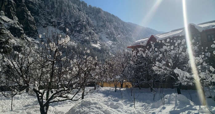 Snowfall In Solan: An All-inclusive Winter Holiday Guide