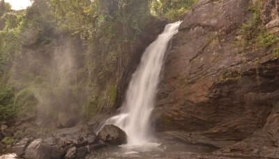 30 Best Things To Do In Wayanad (With Photos) In 2022