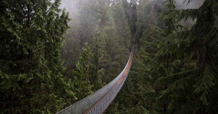 8 Awesome Things To Do In Burnaby On Your Next Vacay!