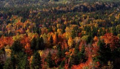 Visiting Japan In October 2022: A Guide To Festivals, Places To Visit ...