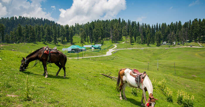 9 Best Things To Do In Gulmarg In May For A Quick Rejoice In 2025