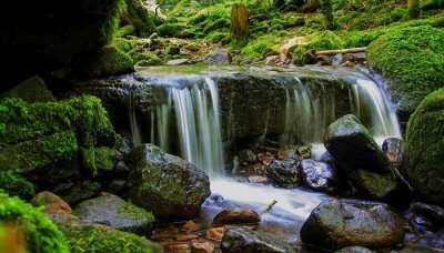 11 Mesmerising Waterfalls In Shimoga To Visit In 2022!