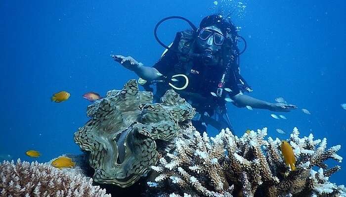 Scuba Diving In Turkey: 12 Spots For Fun Underwater Adventures In 2022