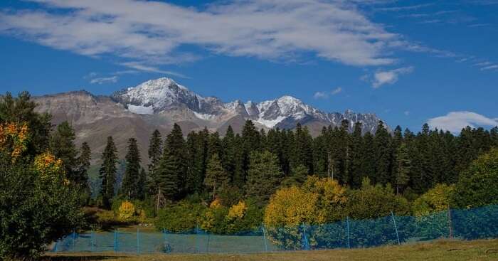 Georgia in August: Weather, Festivals, Best Places & Things To Do