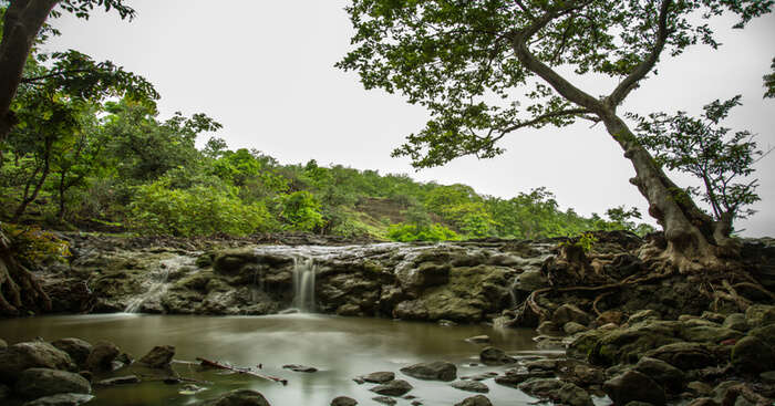 10 Gorgeous Waterfalls Near Indore You Must Visit In 2025!