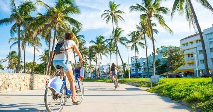 Miami Land: This Is The New Generation Theme Park Of 2025